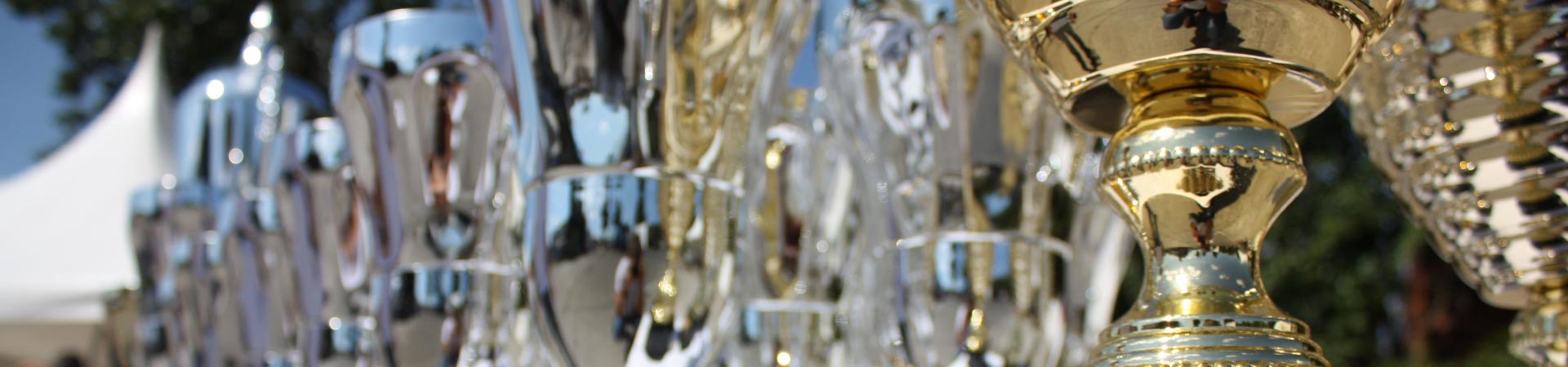 BENZING One Loft Race